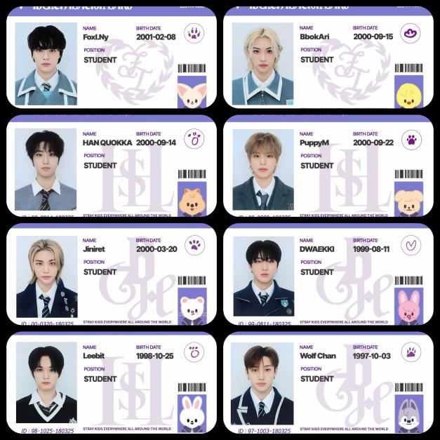 Stray Kids - Magic School 4th fanmeeting ID Cards photocards | Army ...